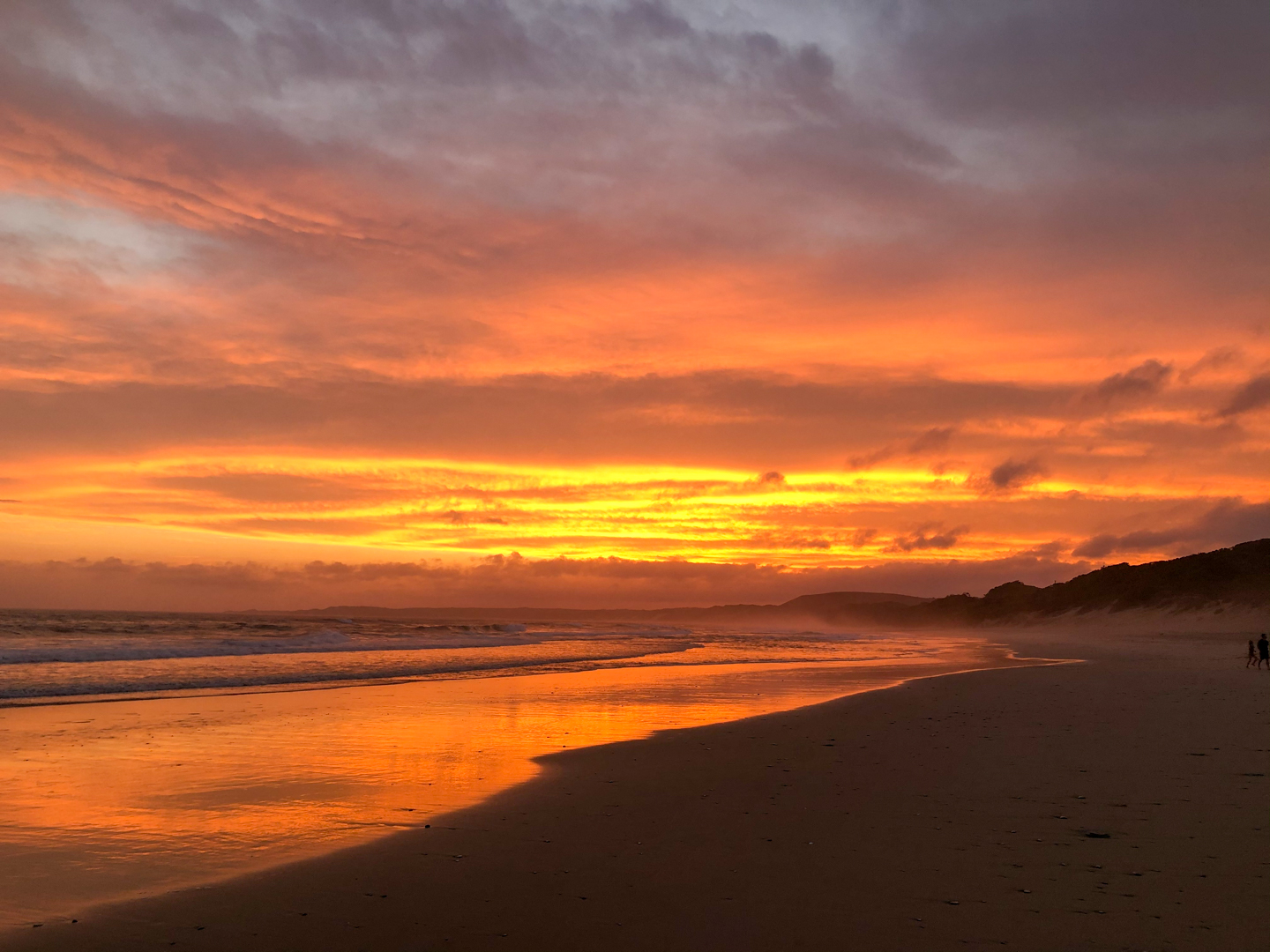 Bosbokstrand | Privaat natuurreservaat aan die Oos-Kaapse Wildekus