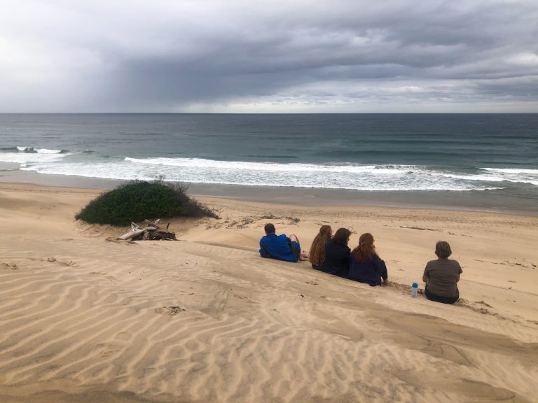 Bosbokstrand | Privaat natuurreservaat aan die Oos-Kaapse Wildekus