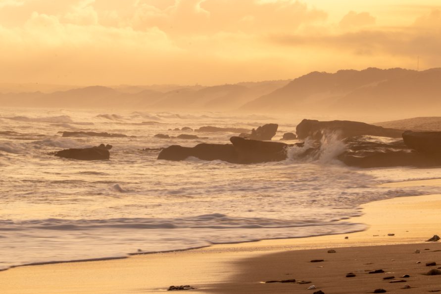 Bosbokstrand | Privaat natuurreservaat aan die Oos-Kaapse Wildekus
